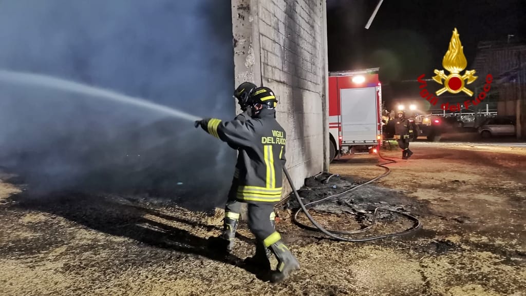 Incendio distrugge fienile e uccide venti vitelli Incendio distrugge fienile e uccide venti vitelli